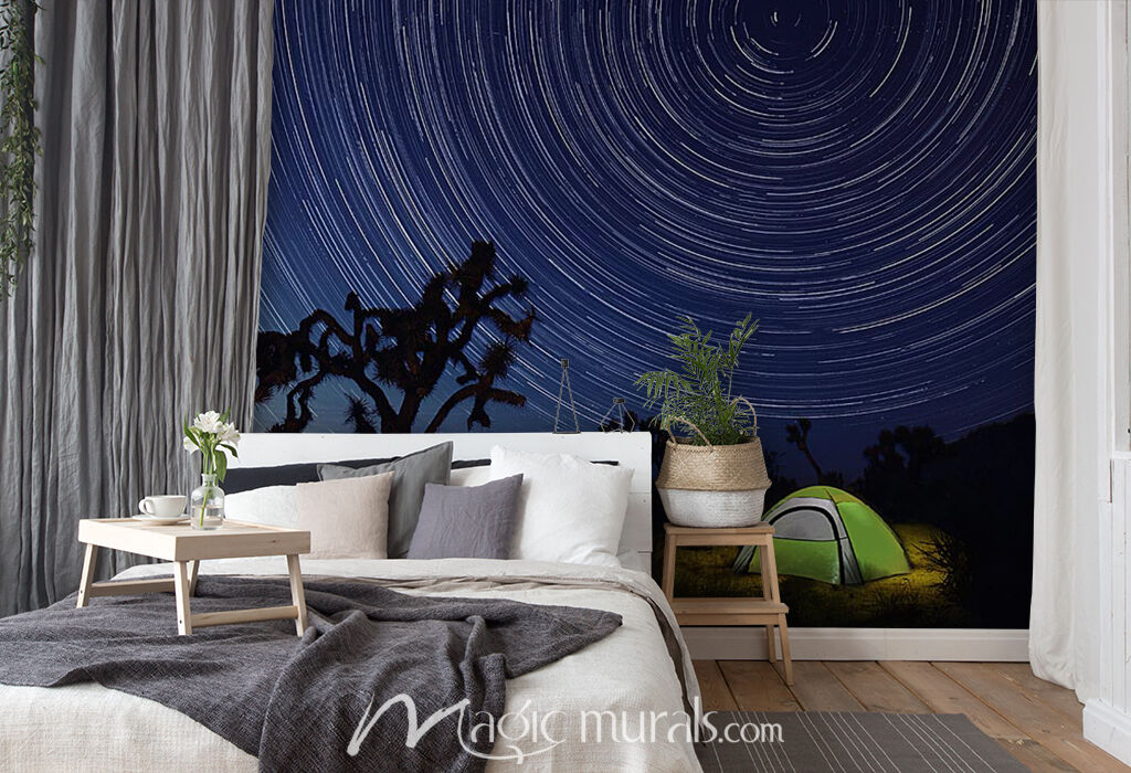 Camping in Joshua Tree Park Wallpaper Mural by Magic Murals