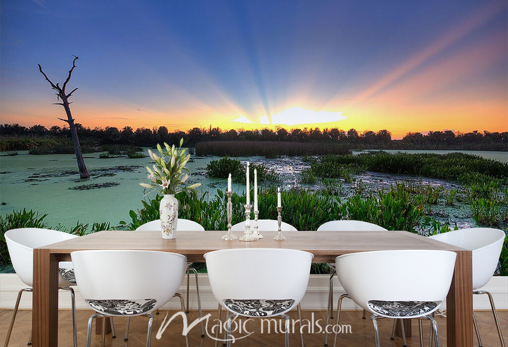 Swamp Sunrise Wallpaper Wall Mural by Magic Murals