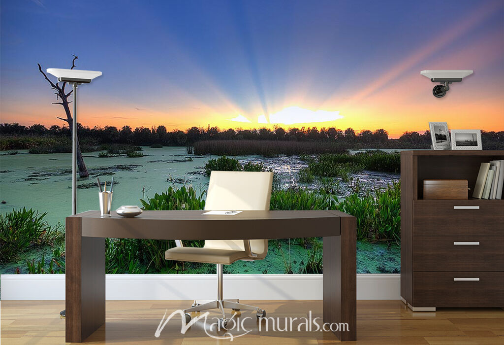 Swamp Sunrise Wallpaper Wall Mural by Magic Murals