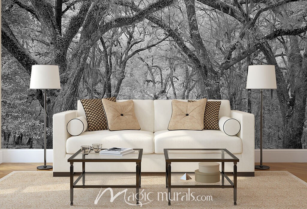 Beautiful Trees Wallpaper Wall Mural by Magic Murals
