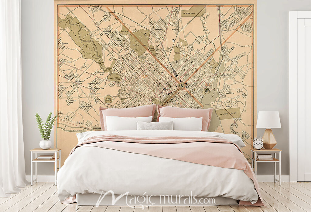 Washington DC 1910 Map Wallpaper Mural by Magic Murals