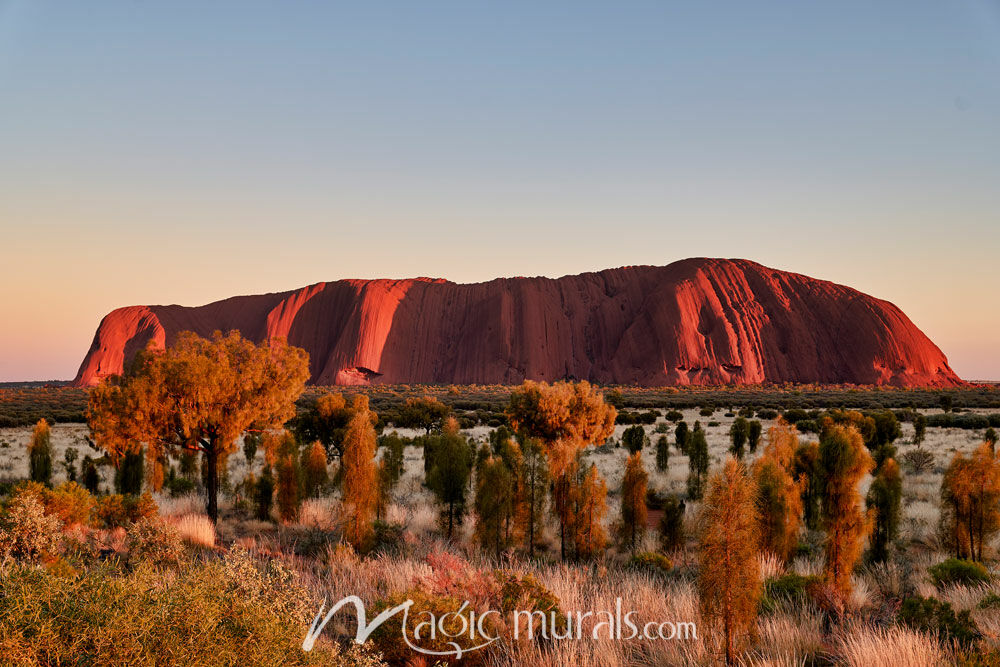 Sunrise at Uluru Ayers Rock Australia 2 Mural by Magic Murals