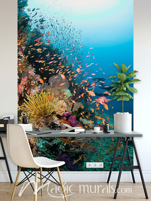 Diver in Reef, Fiji Wallpaper Wall Mural by Magic Murals