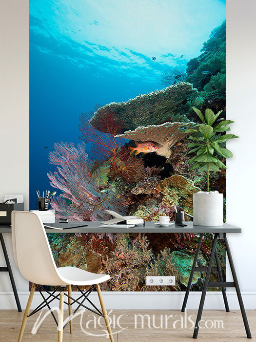 Healthy Reef System Wallpaper Wall Mural by Magic Murals