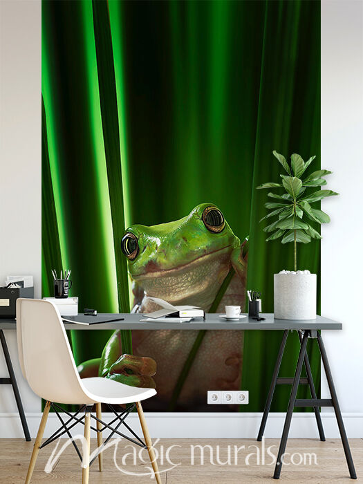 Green Frog in Grass Wallpaper Wall Mural by Magic Murals