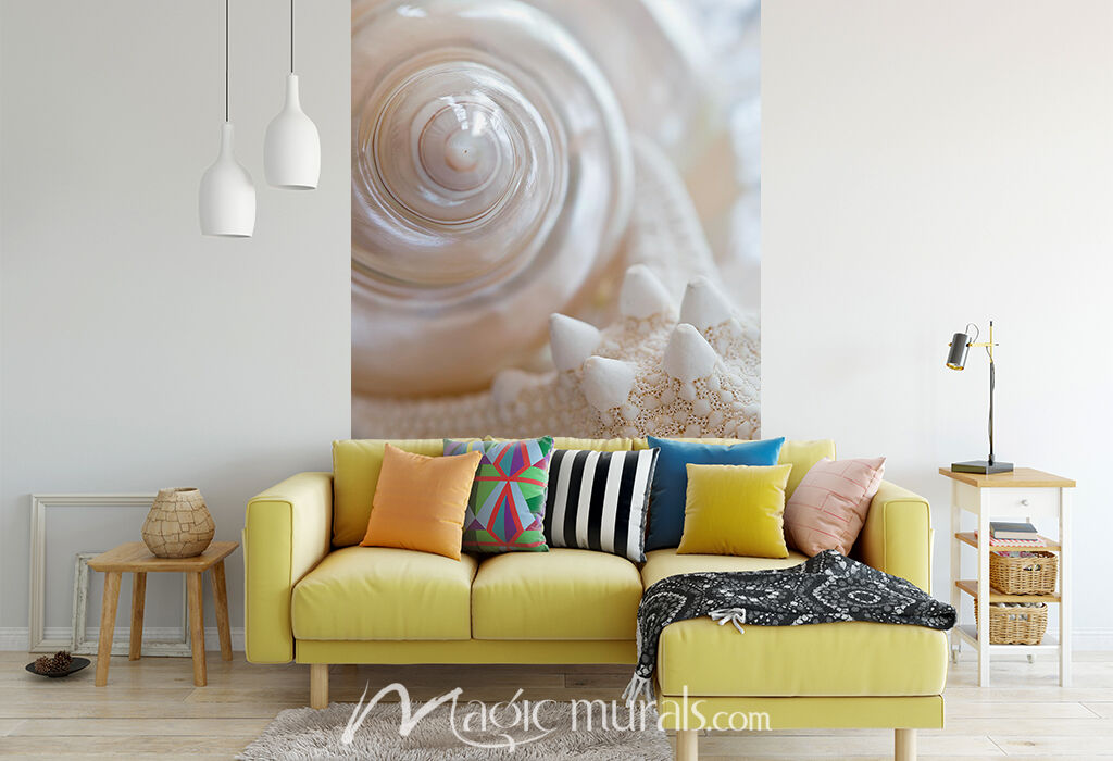 Seashell Spiral Wallpaper Wall Mural by Magic Murals