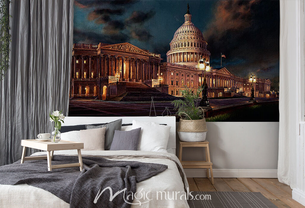 Capitol Wallpaper Wall Mural by Magic Murals