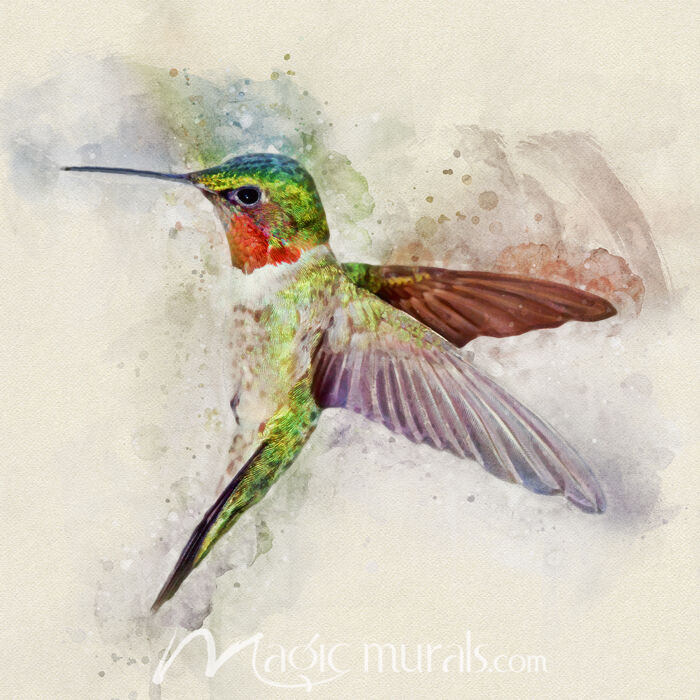 Hummingbird Curious Wallpaper Wall Mural by Magic Murals