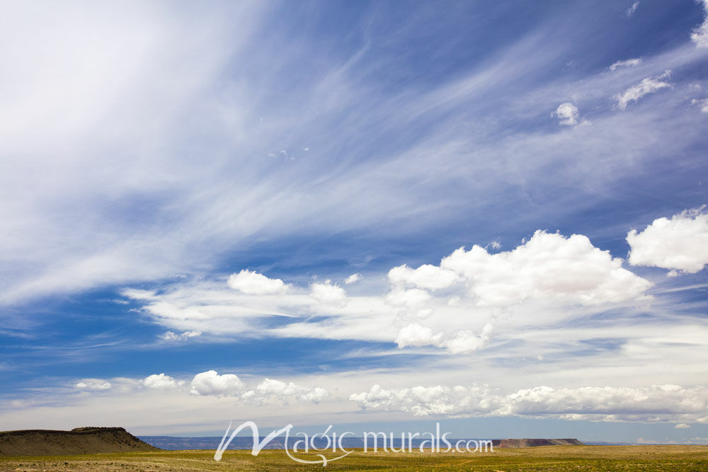 Open Sky Wallpaper Wall Mural by Magic Murals