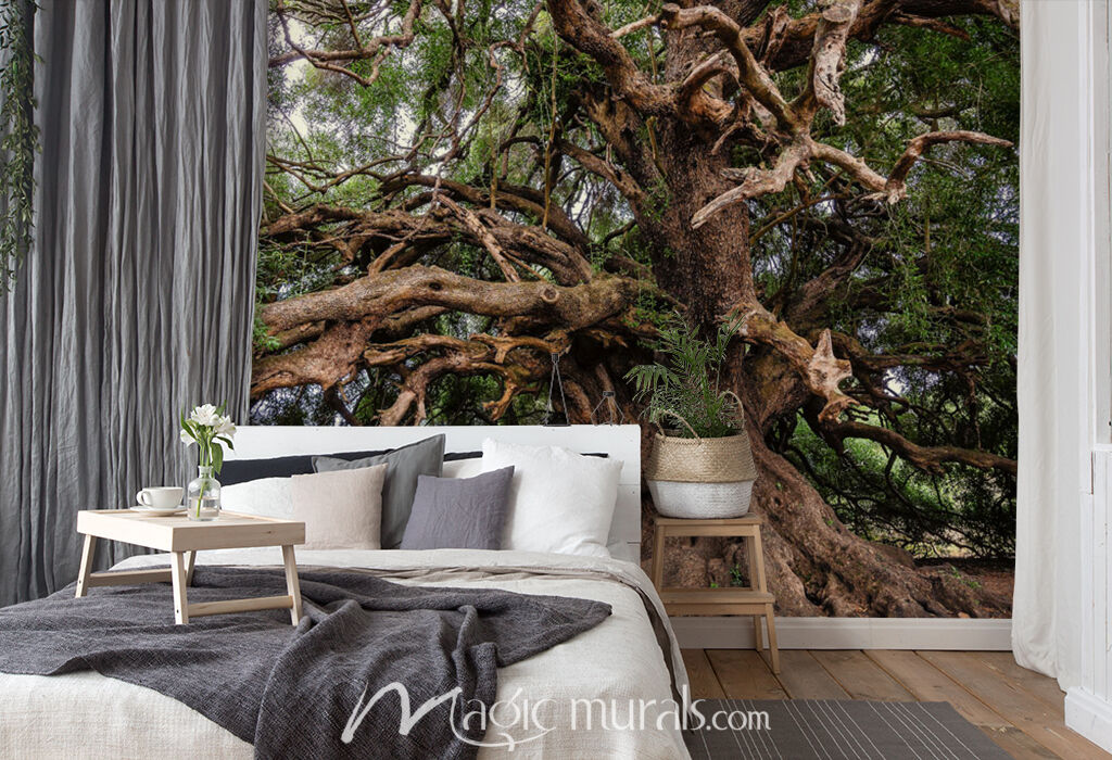 Giant Olive Tree Wallpaper Wall Mural by Magic Murals
