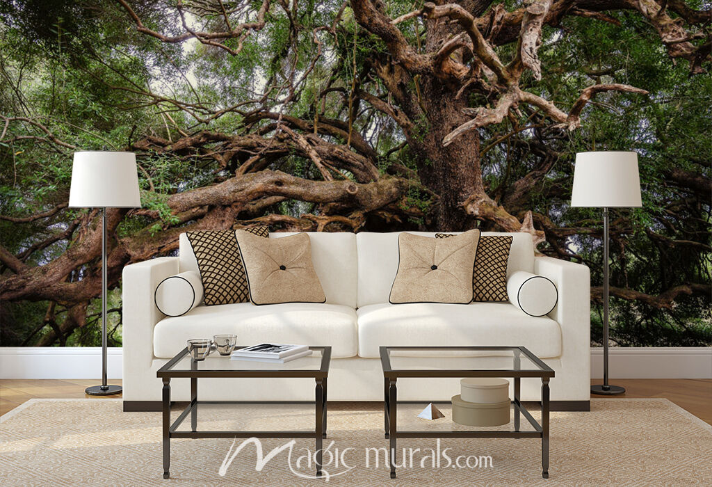 Giant Olive Tree Wallpaper Wall Mural by Magic Murals