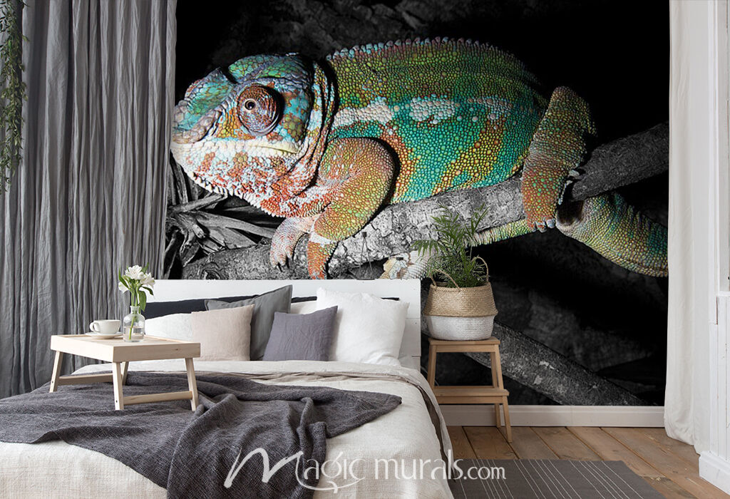 Chameleon Wallpaper Wall Mural by Magic Murals