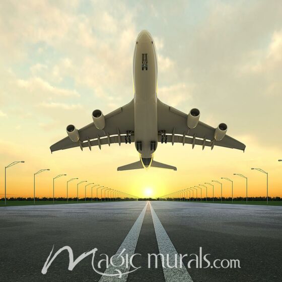 Take Off Wallpaper Wall Mural by Magic Murals