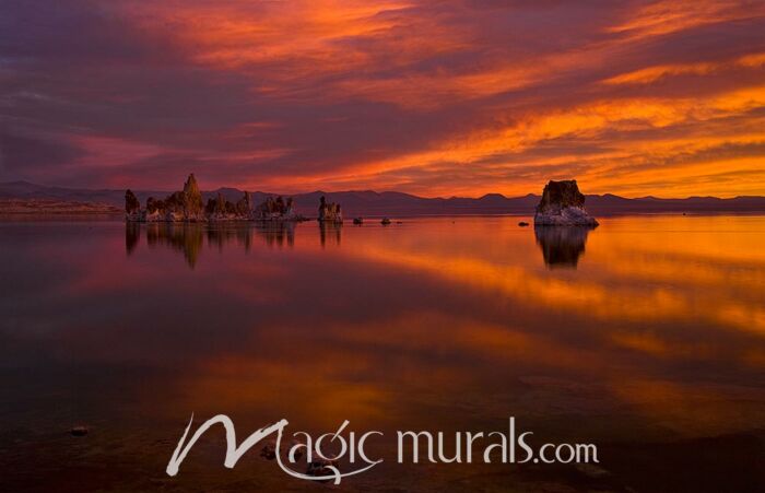Immersion Wallpaper Wall Mural by Magic Murals