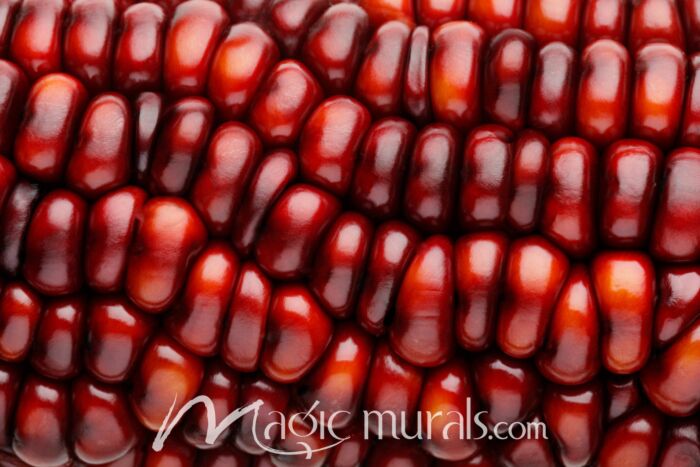 Red Corn Macro 8647 Wallpaper Wall Mural by Magic Murals