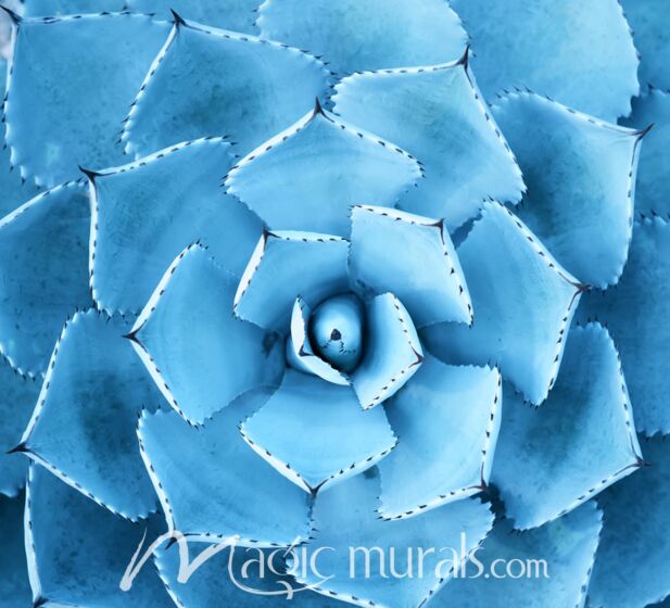 Blue Agave 0897 Wallpaper Wall Mural by Magic Murals