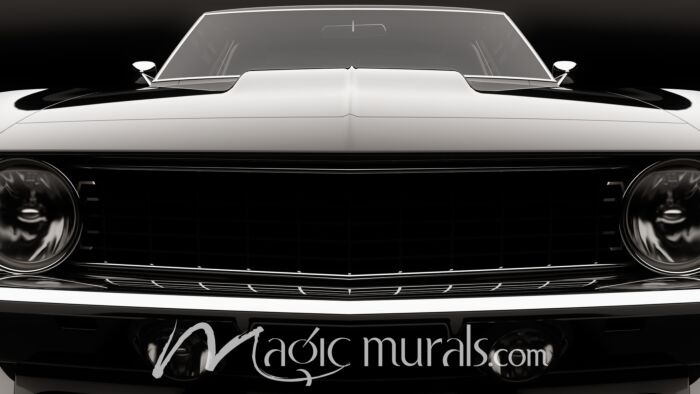 Muscle Car Grill Wallpaper Wall Mural by Magic Murals
