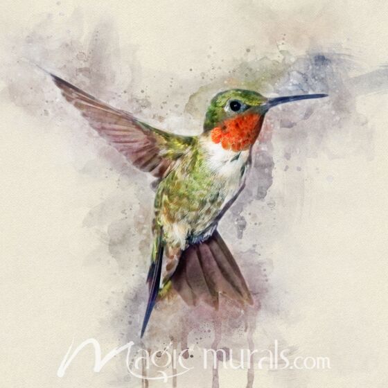 Hummingbird Acrobat Wallpaper Wall Mural by Magic Murals