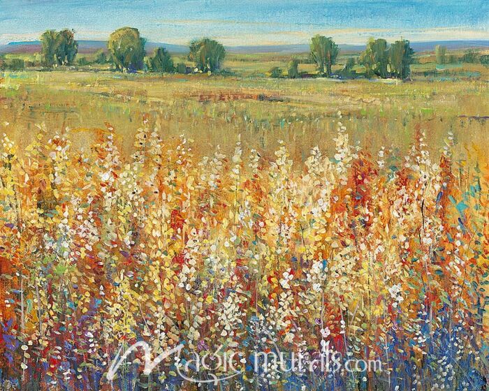 Gold and Red Field I Wallpaper Mural by Magic Murals