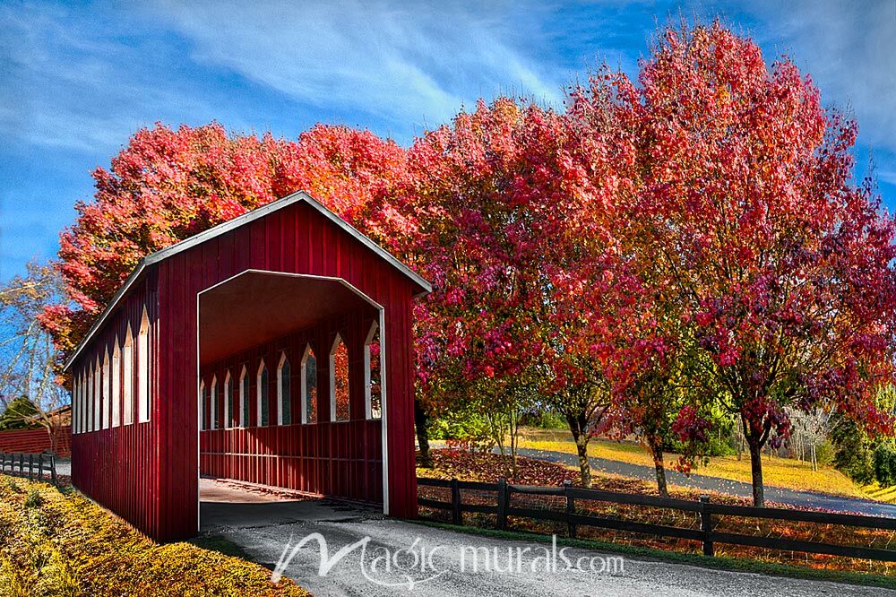 Country Lane Wallpaper Wall Mural by Magic Murals