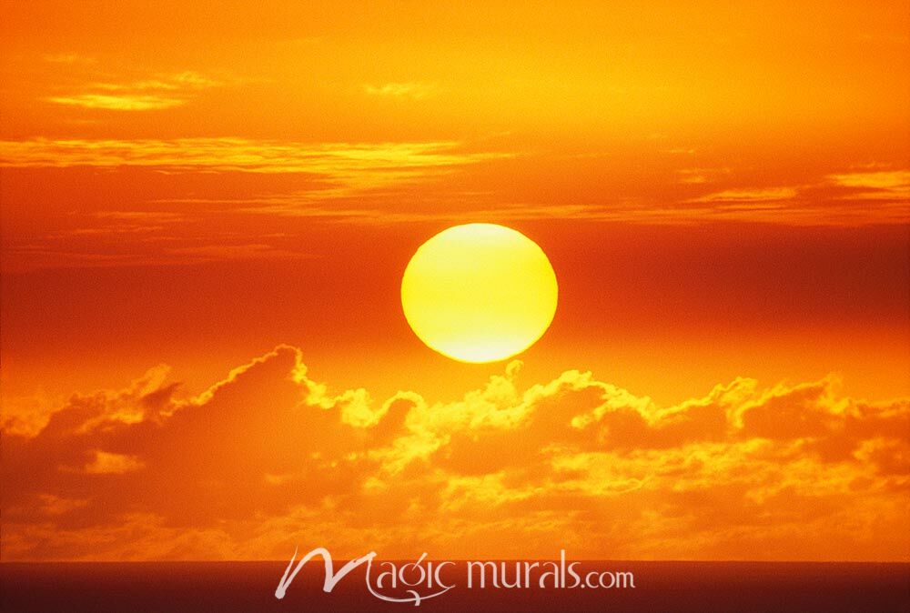 Huge Orange Sun Wallpaper Wall Mural by Magic Murals