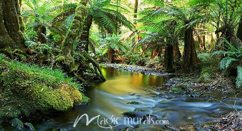 Rainforest River Wallpaper Wall Mural by Magic Murals