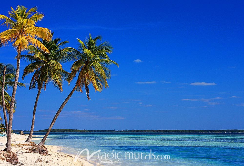 Coco Cay Island Wallpaper Wall Mural by Magic Murals