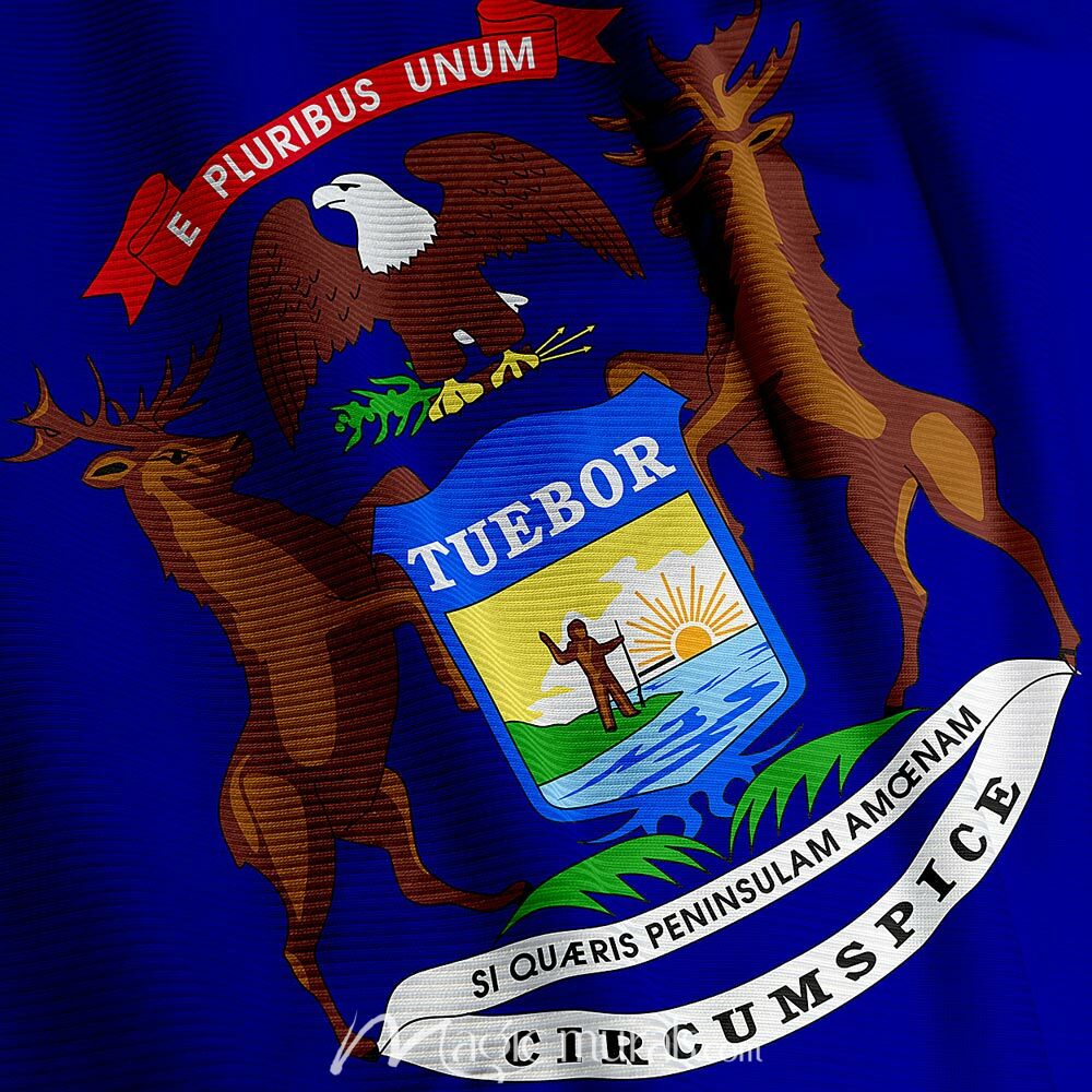 Michigan State Flag Wallpaper Wall Mural by Magic Murals