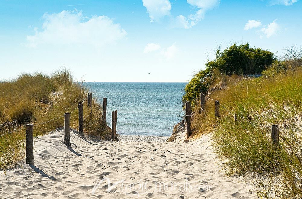 Beach Path Wallpaper Wall Mural by Magic Murals