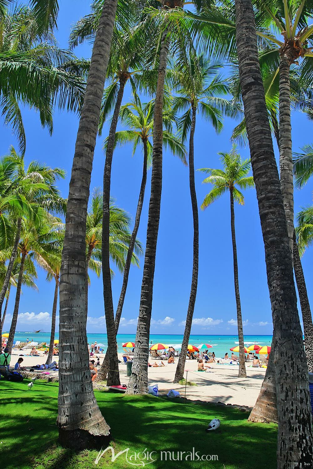 A Day on Waikiki Beach Wallpaper Mural by Magic Murals