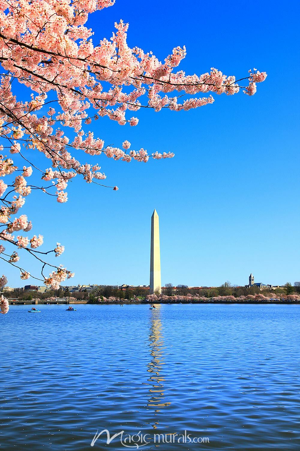 Washington Monument Wallpaper Wall Mural by Magic Murals