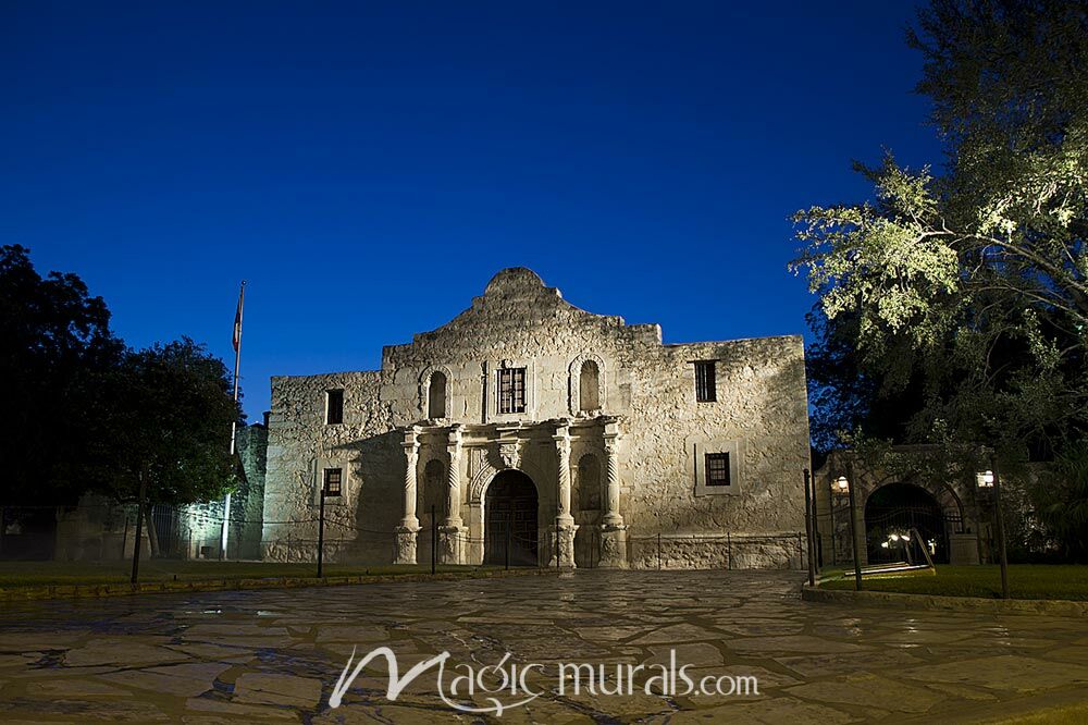 The Alamo Wallpaper Wall Mural by Magic Murals