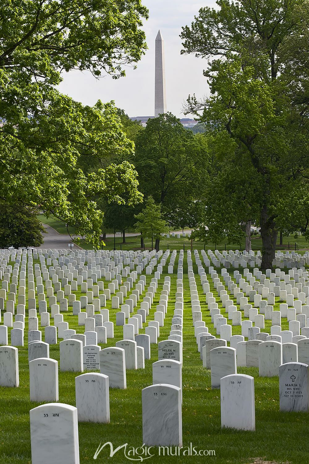 Arlington National Cemetery Wallpaper Mural by Magic Murals