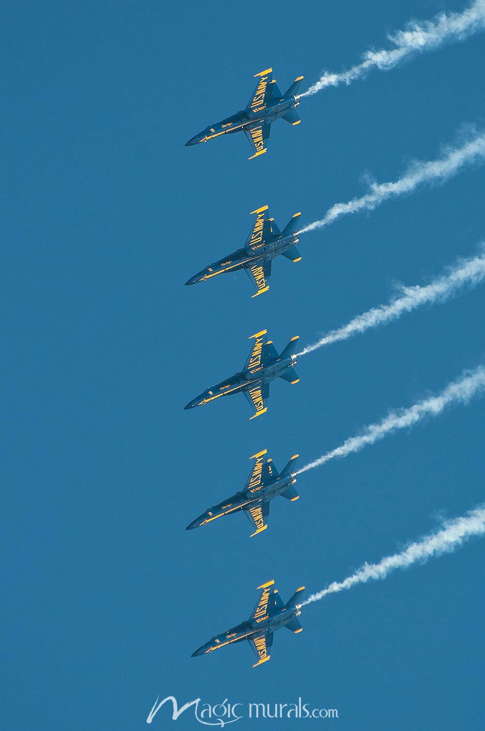 Blue Angels Wallpaper Wall Mural by Magic Murals