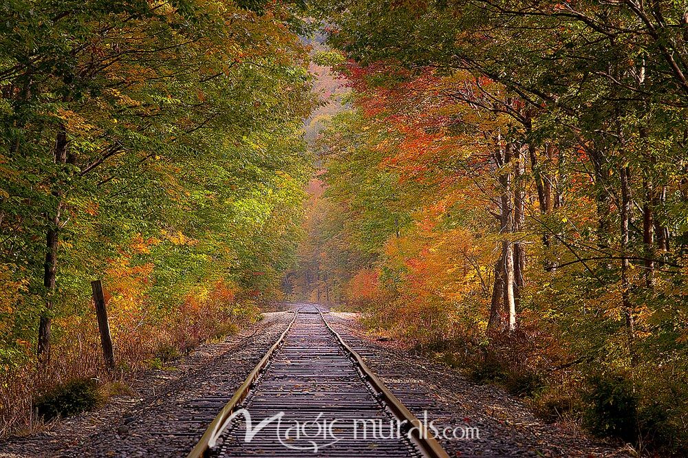 Pathway of Light Wallpaper Wall Mural by Magic Murals