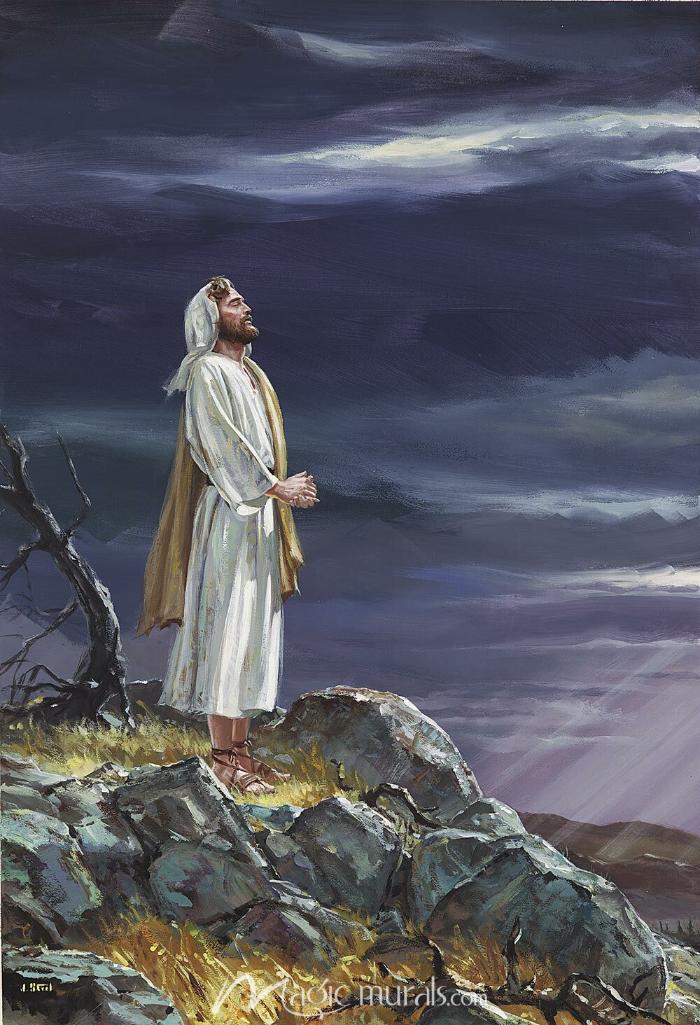 Temptation of Christ Wallpaper Mural by Magic Murals