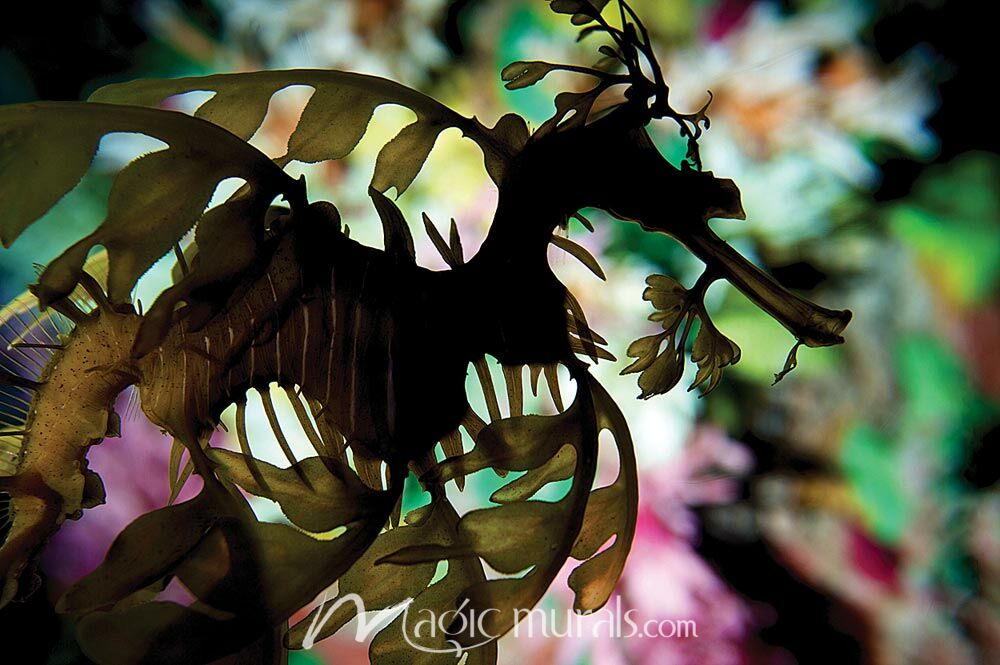 Mystery of the Deep Wallpaper Wall Mural by Magic Murals