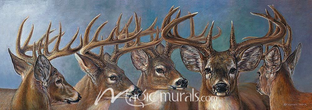 Five Bucks Wallpaper Wall Mural by Magic Murals