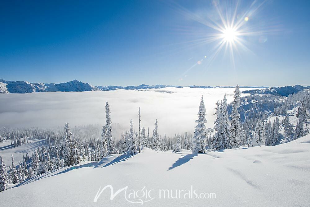 Snow Trees Wallpaper Wall Mural by Magic Murals