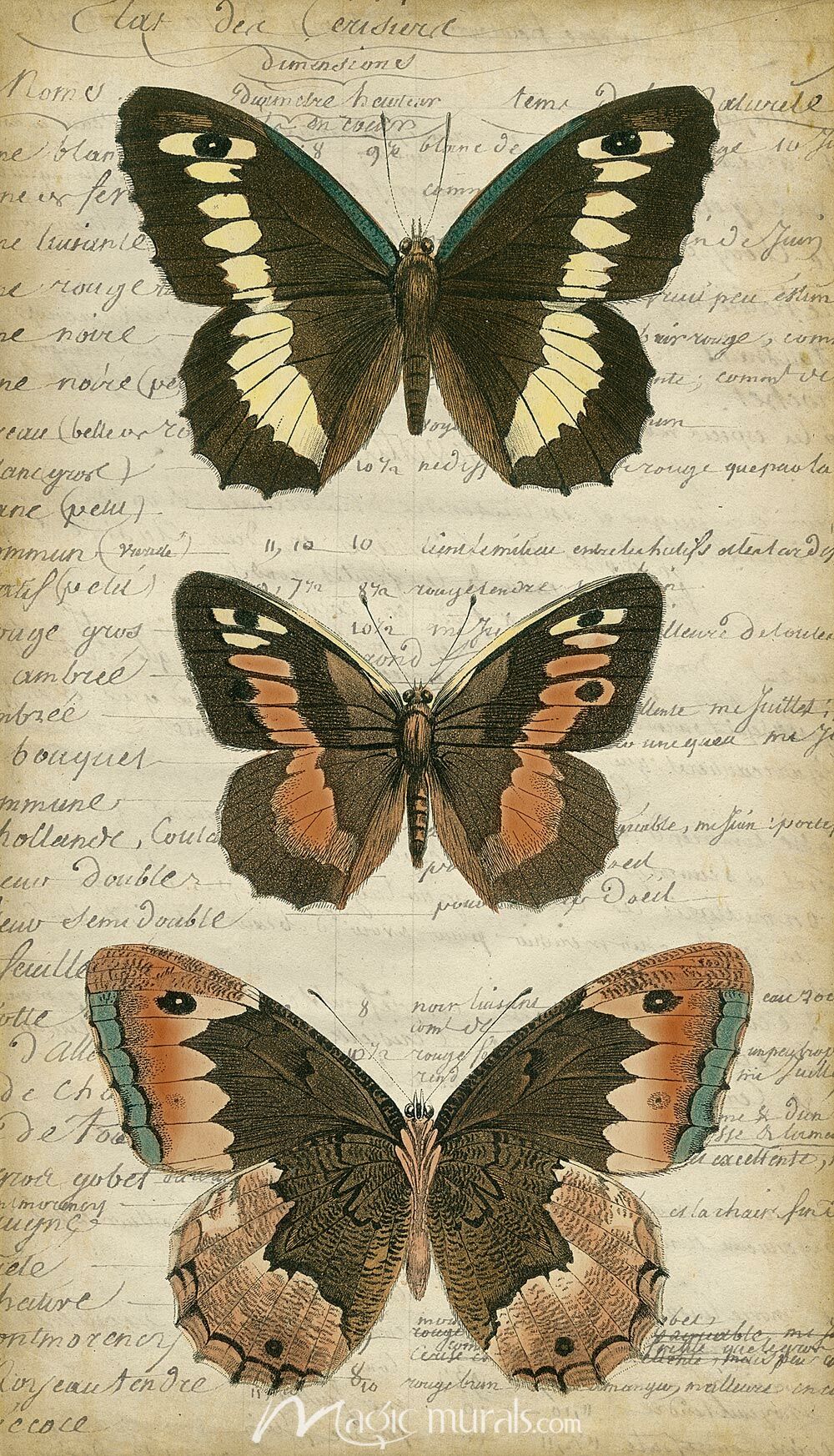 Butterfly Script I Wallpaper Wall Mural by Magic Murals