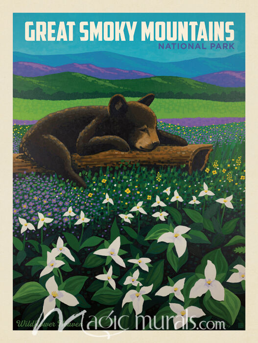 ADG Smoky Mountains National Park Mural by Magic Murals