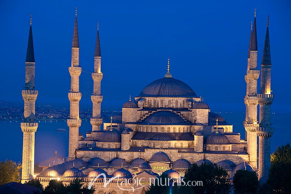 Blue Mosque Wallpaper Wall Mural by Magic Murals