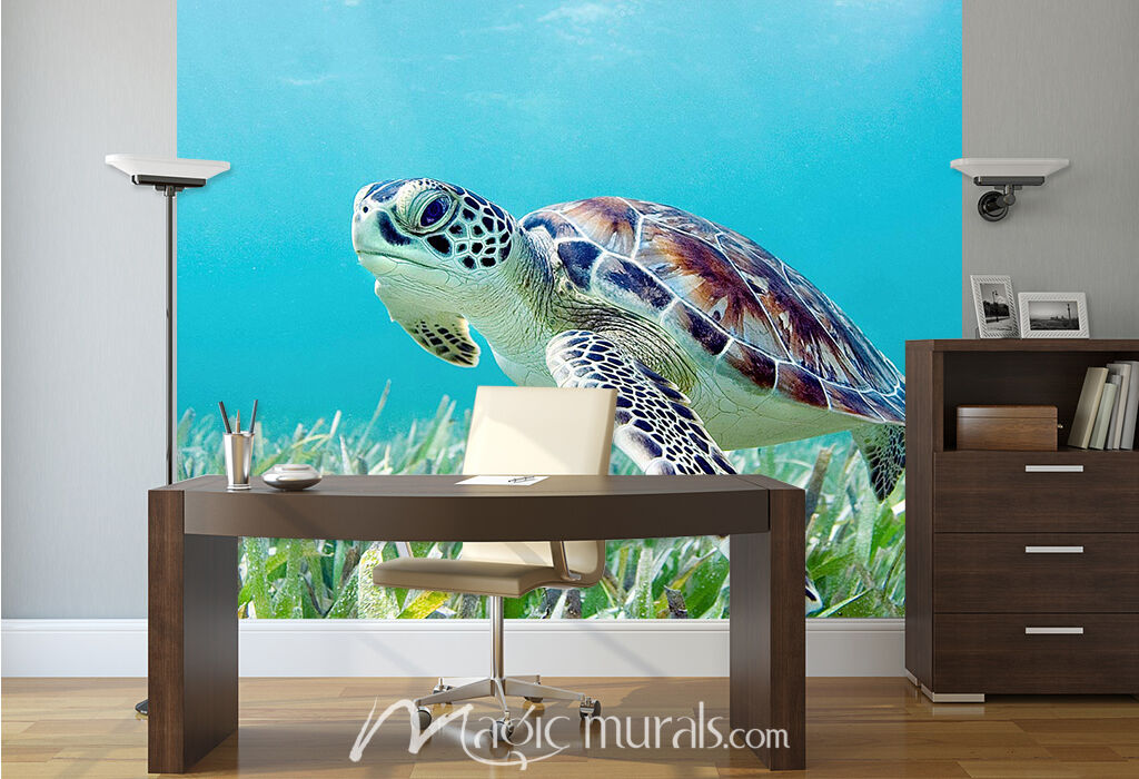 Swimming Sea Turtle Wallpaper Wall Mural by Magic Murals