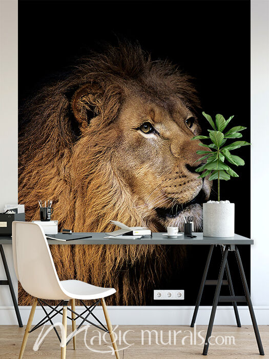 Majestic Lion Wallpaper Wall Mural by Magic Murals
