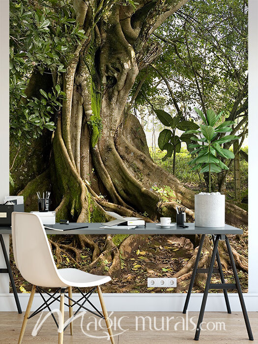 Twisted Tree Wallpaper Wall Mural by Magic Murals