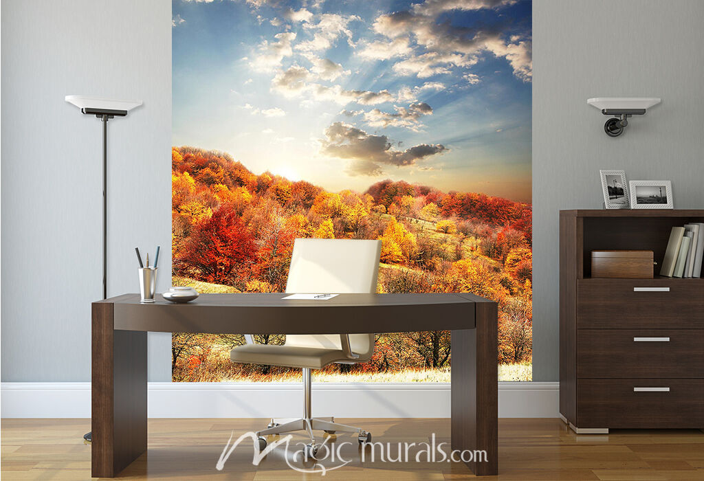 Amazing Autumn Wallpaper Wall Mural by Magic Murals