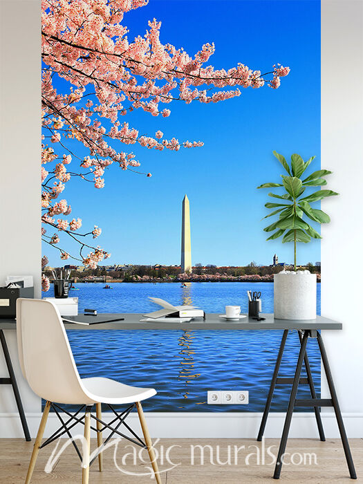 Washington Monument Wallpaper Wall Mural by Magic Murals