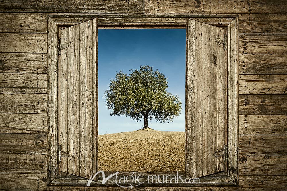 Tree in Window Wallpaper Wall Mural by Magic Murals