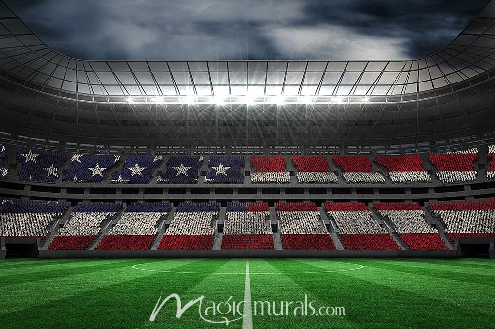 American Stadium Wallpaper Wall Mural by Magic Murals