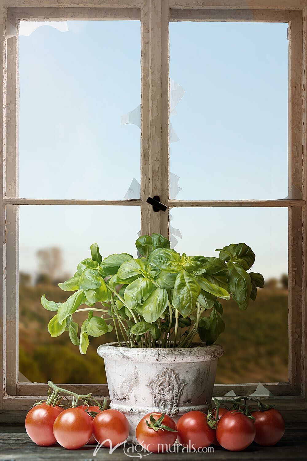 Farm Shed Window Wallpaper Wall Mural by Magic Murals